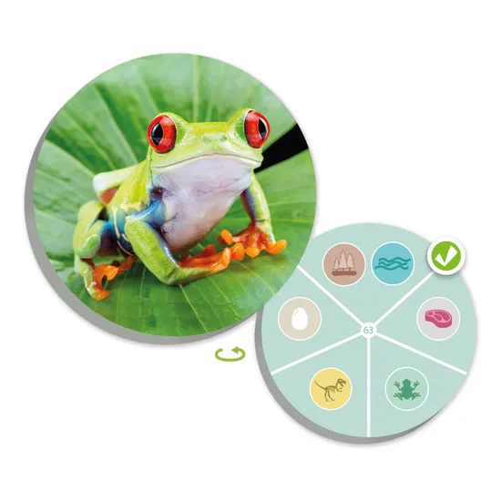 The Animal World: Discover and Classify Game
