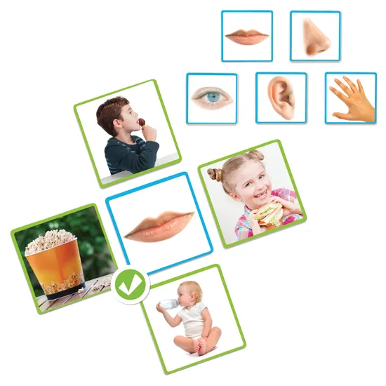 The 5 Senses Matching Game