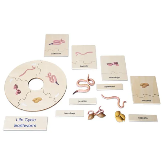 Earthworm Life Cycle Model & Puzzle Set