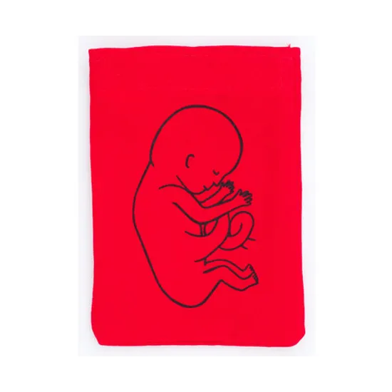Stages of Pregnancy & Foetal Development - Interactive Set - MTA Catalogue