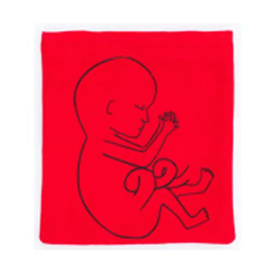 Stages of Pregnancy & Foetal Development - Interactive Set - MTA Catalogue