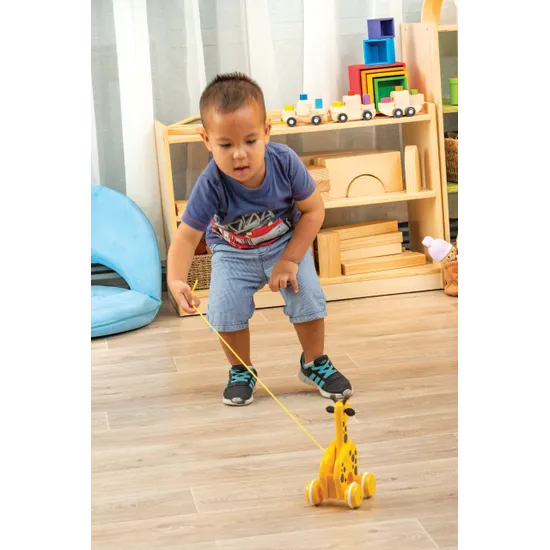 BRIO Pull Along Giraffe
