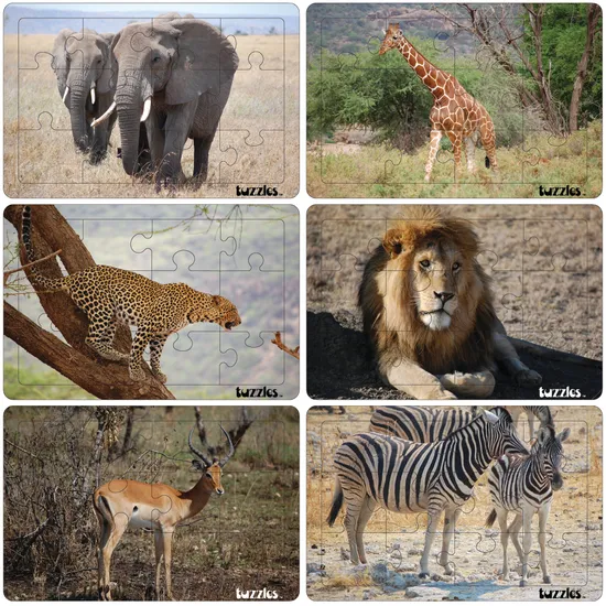 Wild Animals Photo Puzzle Set of 6