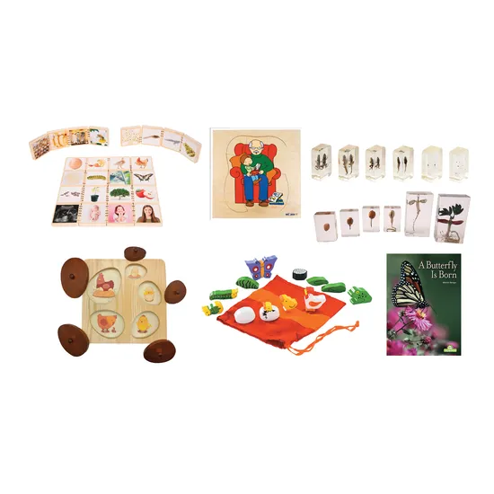 Early Years Life Cycle Kit - MTA Catalogue