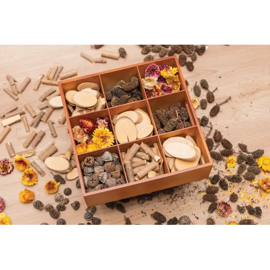 MTA Spaces - Natural Sorting Kit