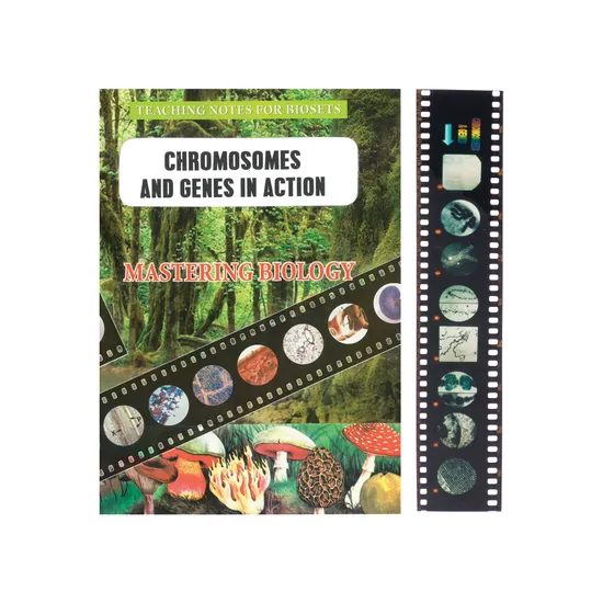 Bio Viewer Slide Set - Human Biology