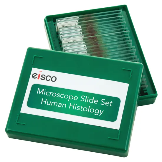 Slide Set - Human Histology Set of 25 - MTA Catalogue
