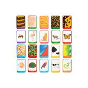 Freckled Frog Who Am I? Flashcards – Identity & Emotions