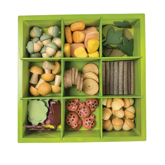 Nature's Sorting Box