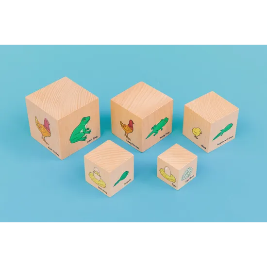 Life Cycle Blocks - MTA Catalogue