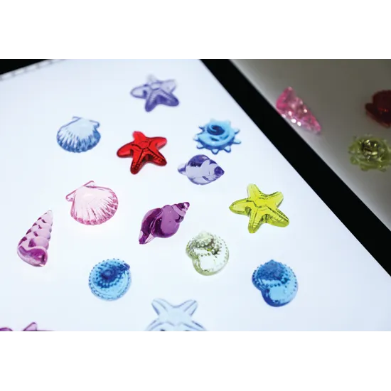 Teachables - Transparent Shells - 36 pieces - MTA Catalogue