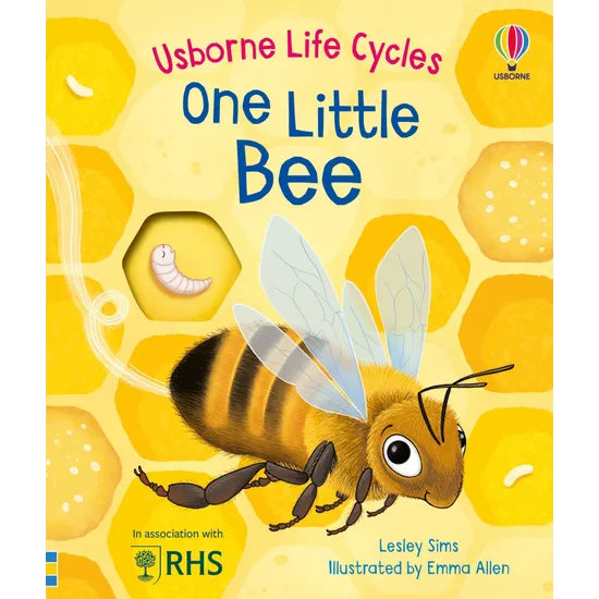 One Little Bee Book