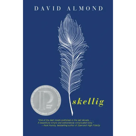 Skellig Novel