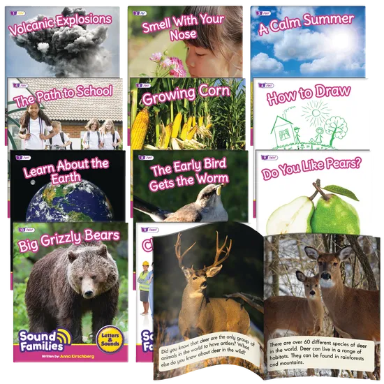 Sound Families R-controlled Non-Fiction Phase 5.5