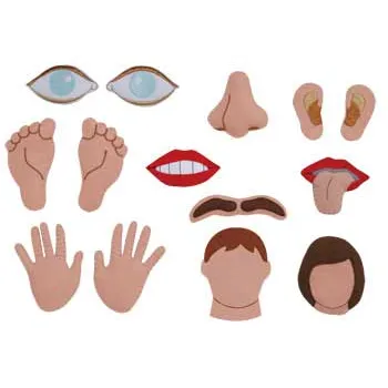 My Body Parts Felt Pieces 14 Pieces