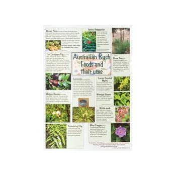 Bush Tucker Poster - A3