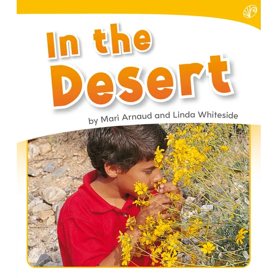 In the Desert - Level 6-8
