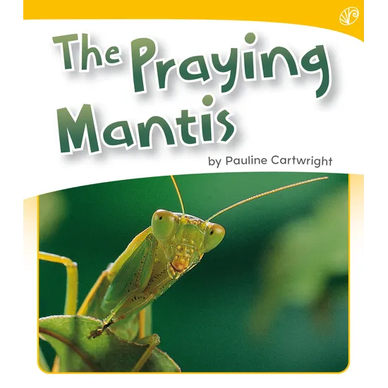 The Praying Mantis - Level 6-8