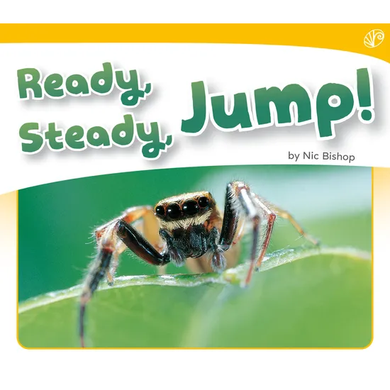 Ready, Steady, Jump! - Level 6-8