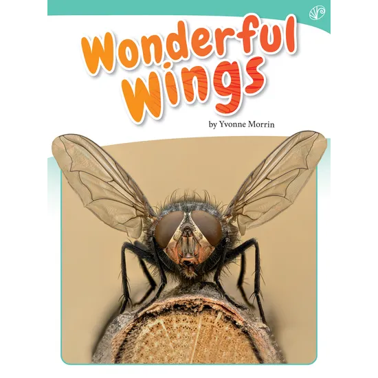 Wonderful Wings