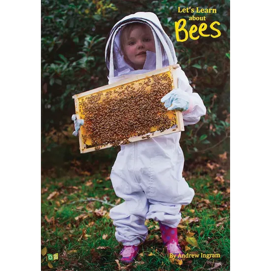 Let's Learn About Bees Big Book