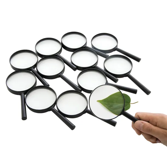 Hand Magnifiers - Pack of 12