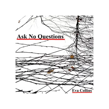 Ask No Questions