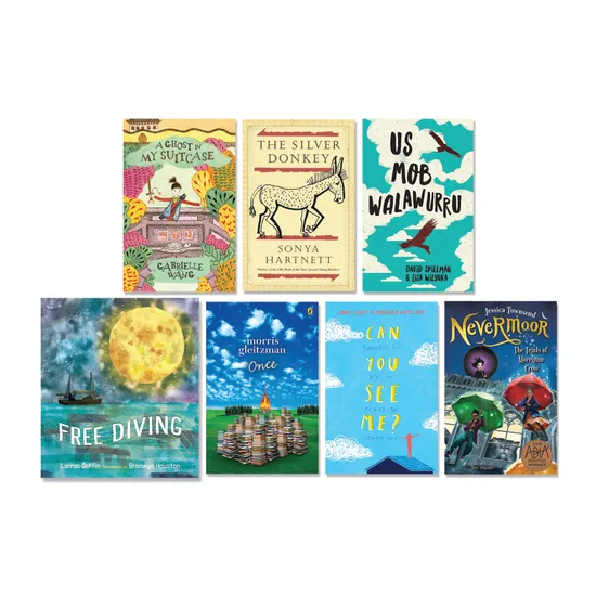 Year 6 Ochre Novel Studies Book Pack