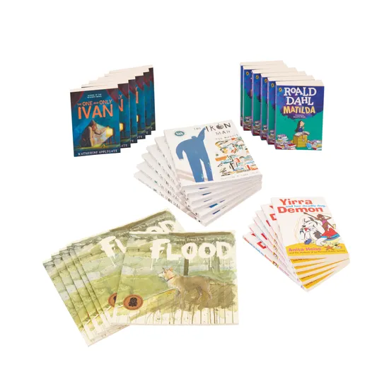 Year 3 Novel Study Book Pack