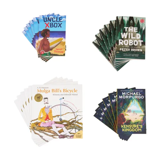Year 4 Novel Study Book Pack