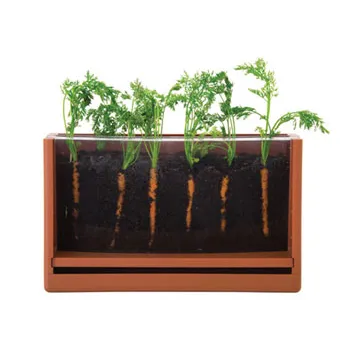 Vegetable Root Viewer