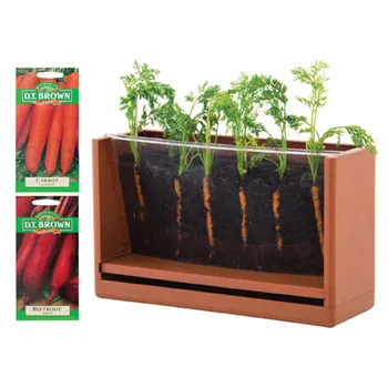 Vegetable Root Viewer with Seeds