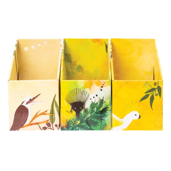 Teachables Indigenous Magazine Box Bush – Set of 3