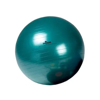 Fitness Ball 55cm