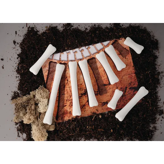 Dinosaur Bones Match and Measure Set – Counting & Measuring